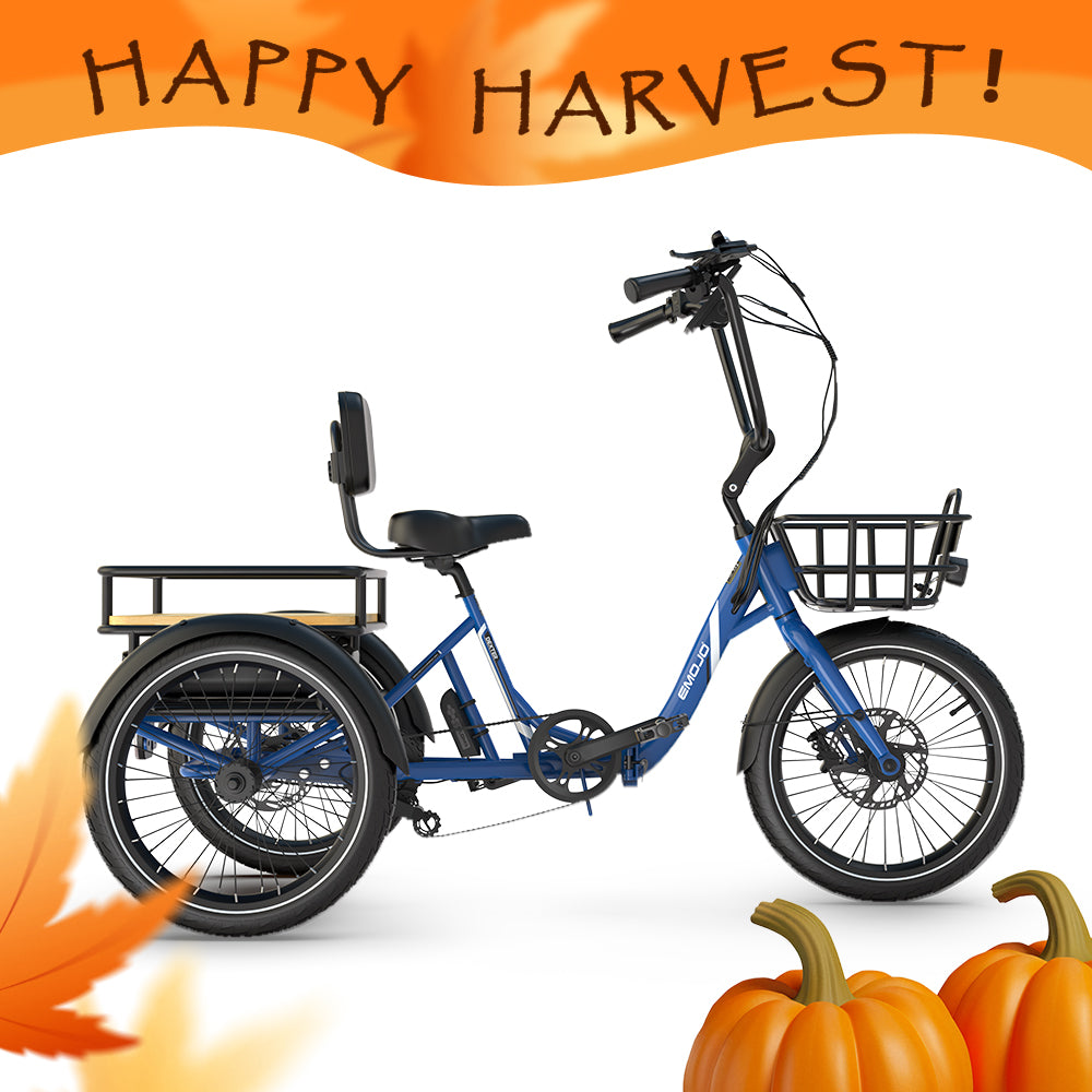 Dexter – Emojo Bike