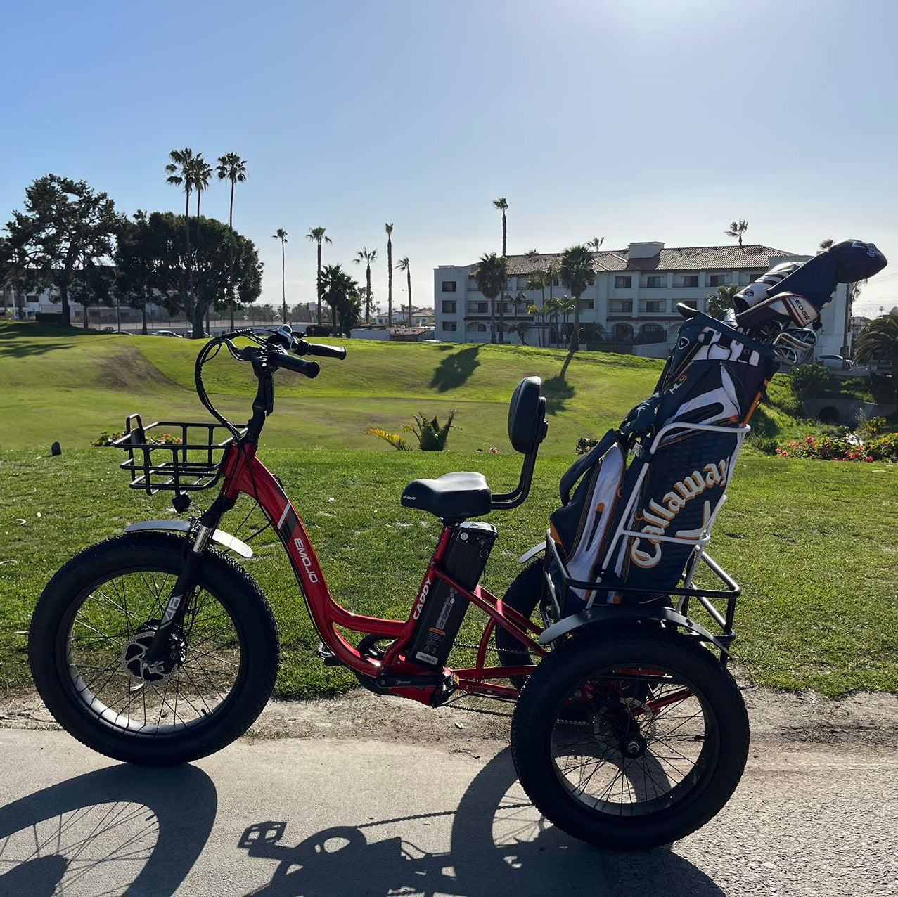 Golf Bag Rack – Emojo Bike