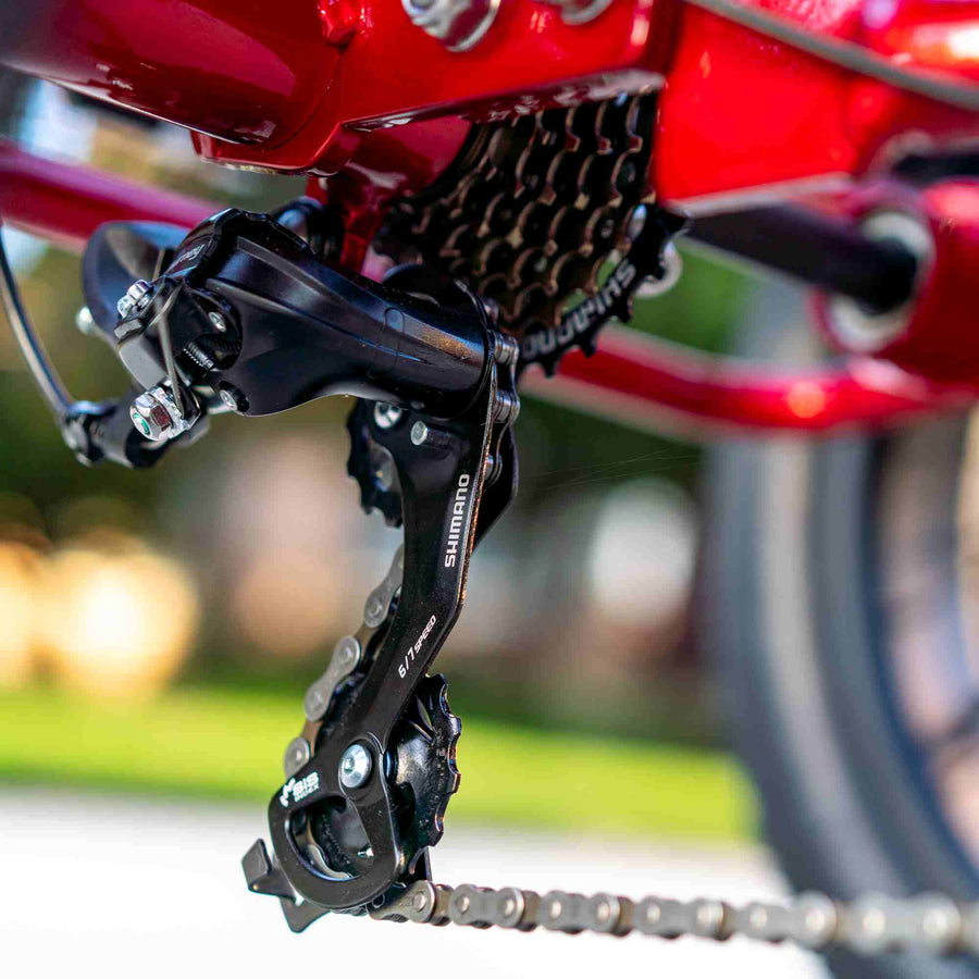 Emojo Caddy PRO, electric trike bike, electric tricycle - Emojo Bike