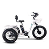 Emojo Caddy PRO, electric trike bike, electric tricycle - Emojo Bike
